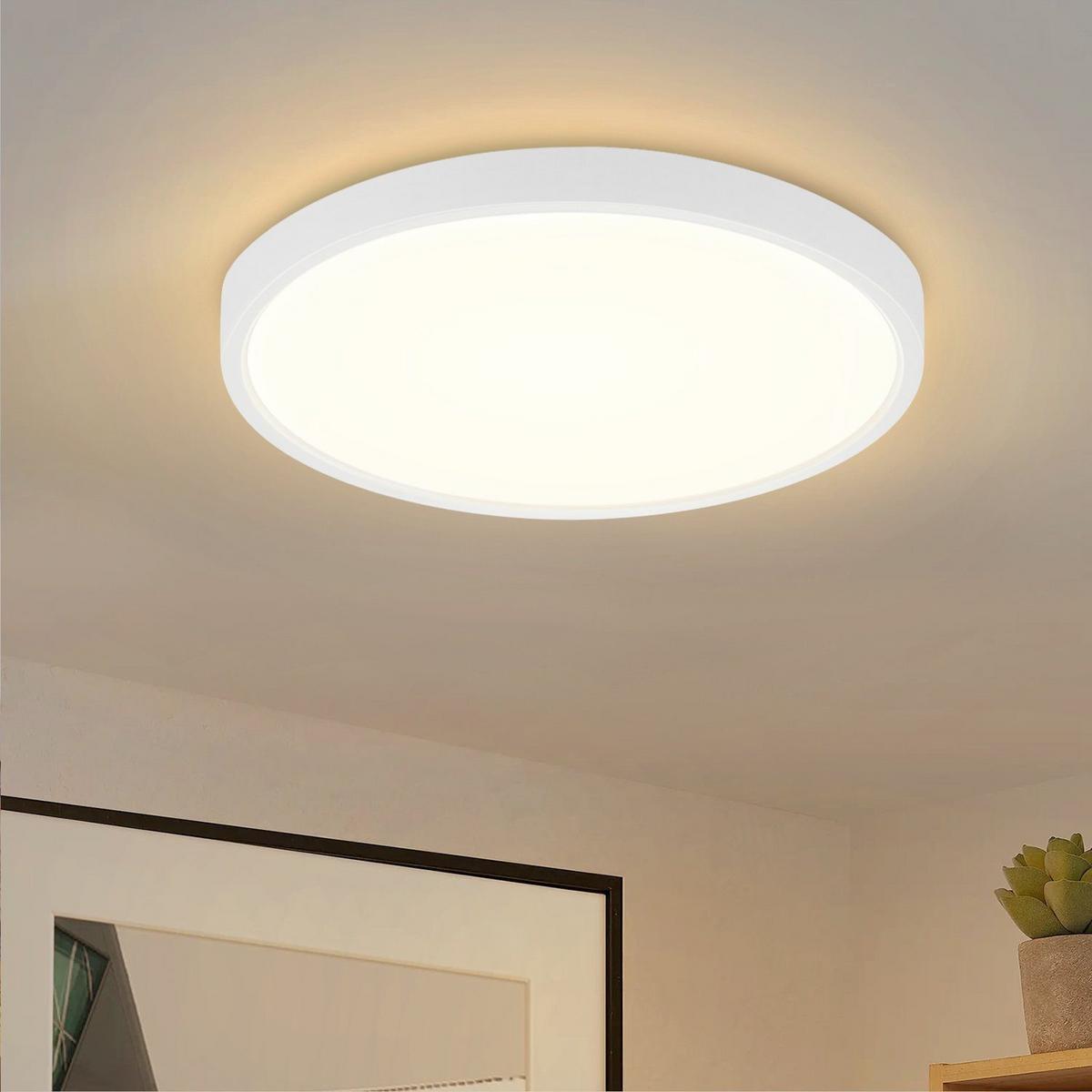 Nettlife LED-DECKENLEUCHTE Berlin 22 cm online kaufen mömax