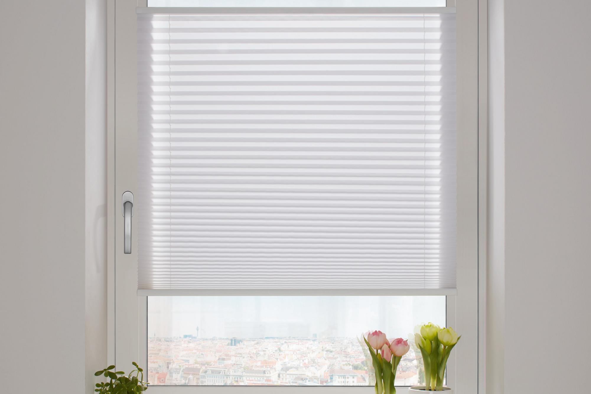 Rollo- & Plissee-Montage mömax