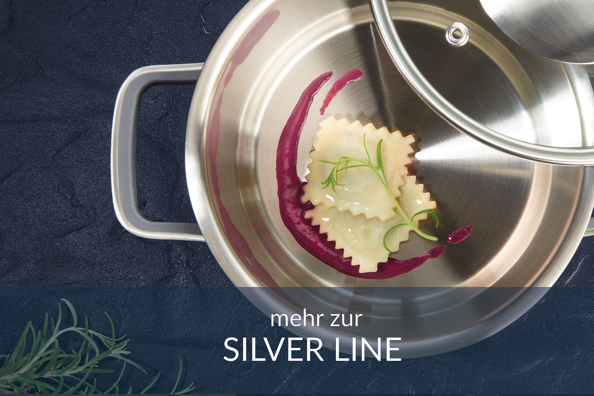 teaser_silver-line-neu.png
