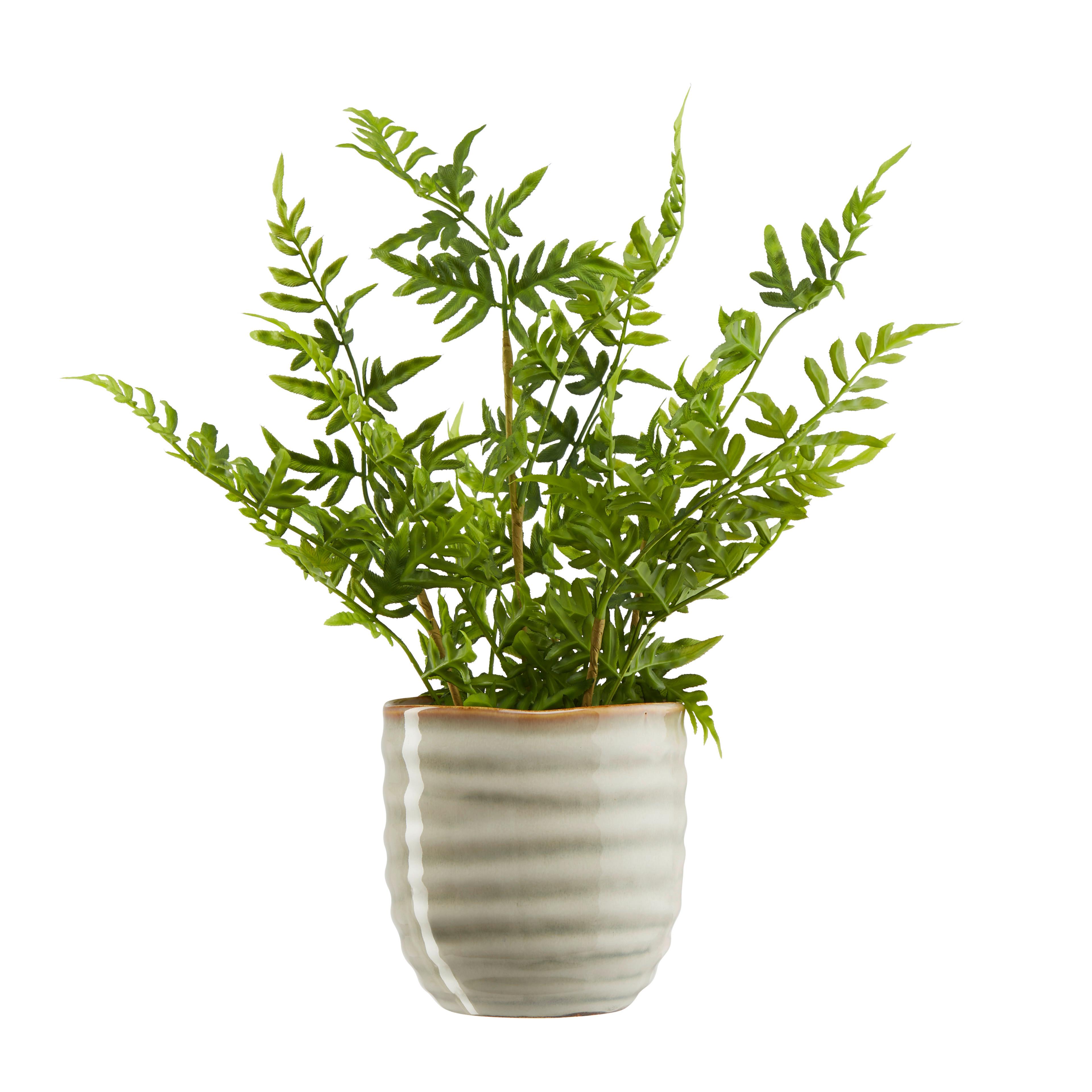 Ukrasne tegle | mömax.hr