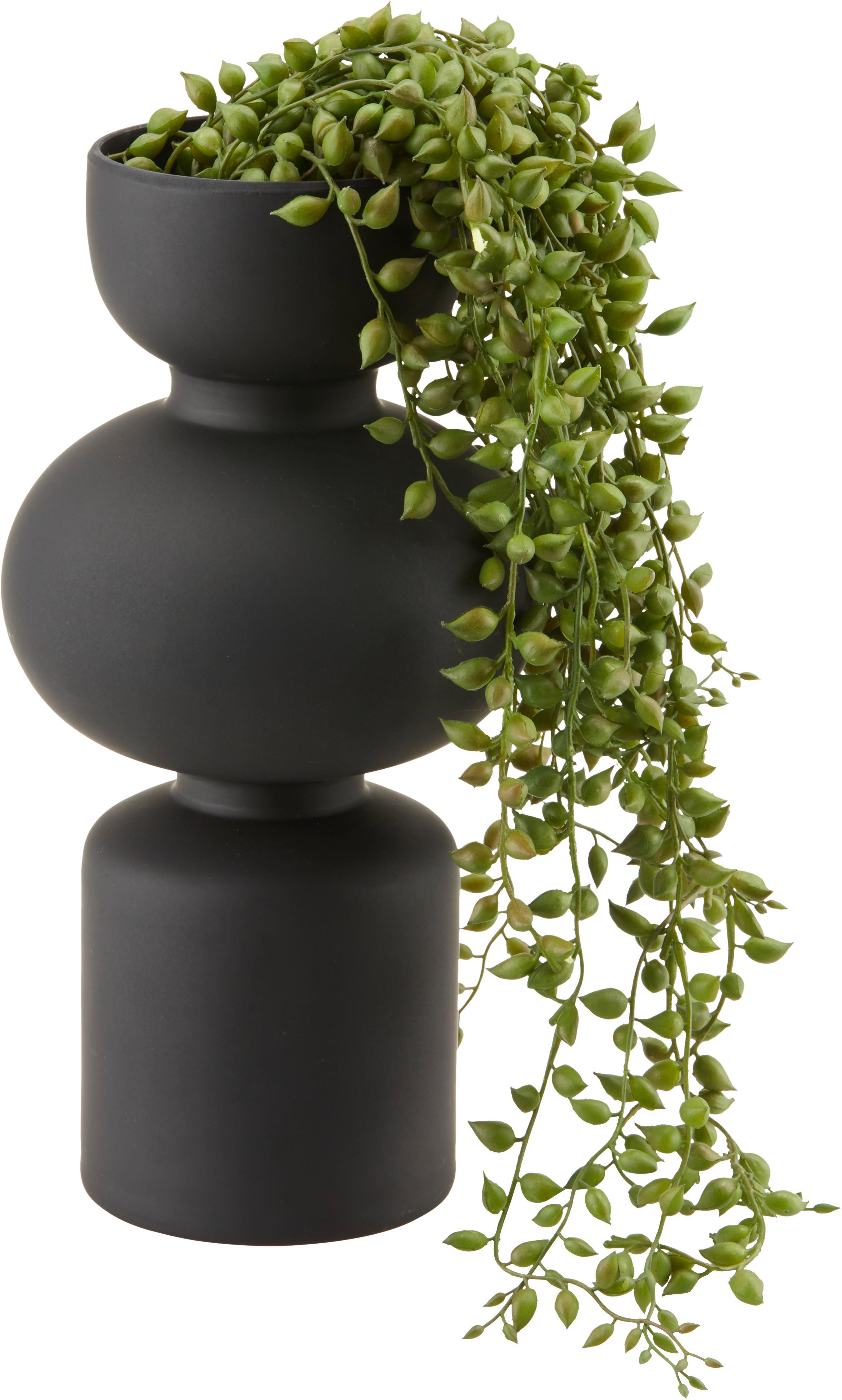 Vaze za rože in dekorativne vaze | mömax.si