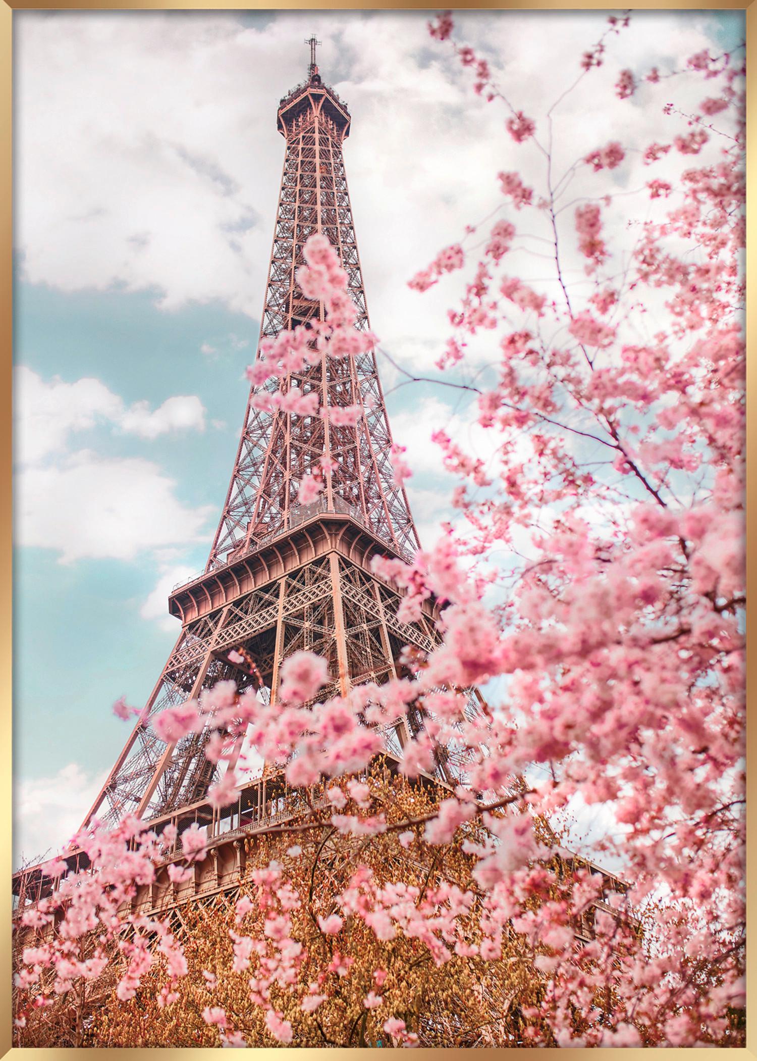 Tablouri & rame foto