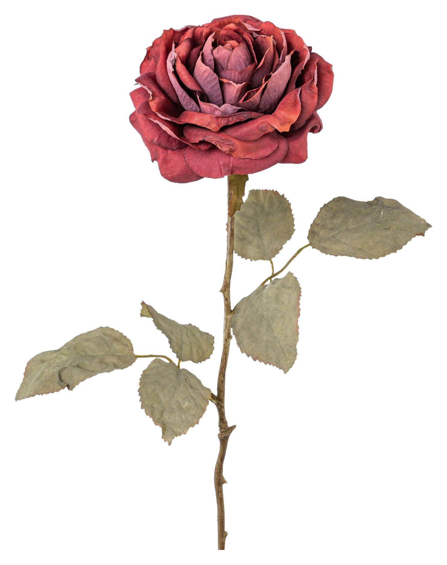 Umjetno cvijeće | mömax.hr