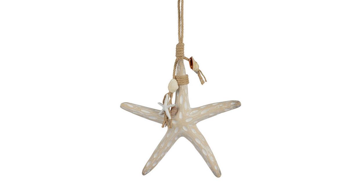 Stea de mare decorativă Star comandă online moemax