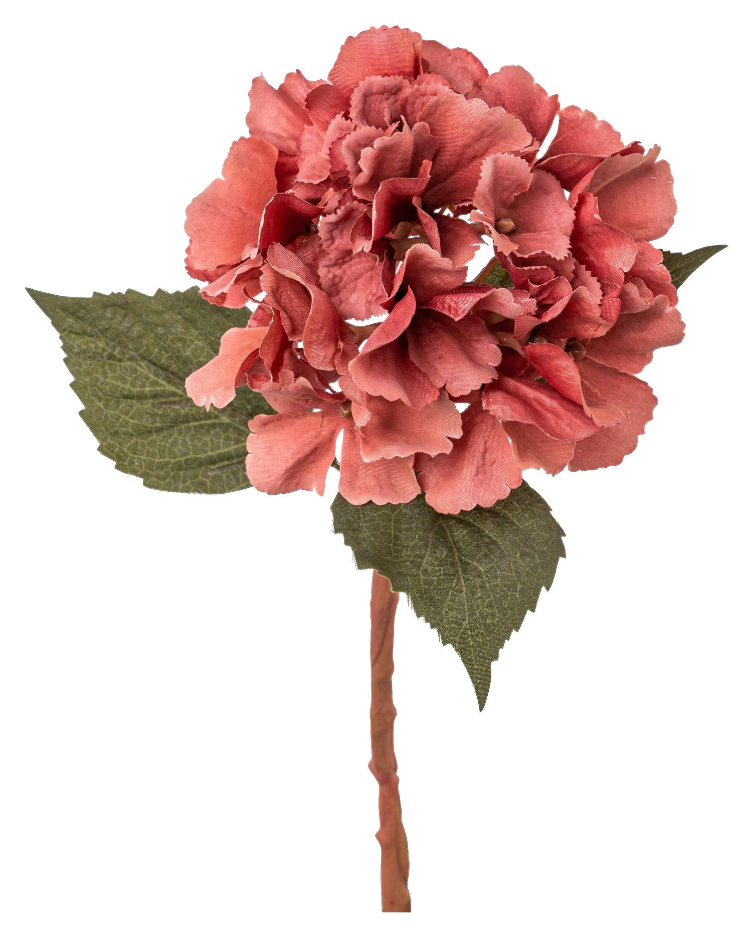 Umetne rože in rastline | mömax.si