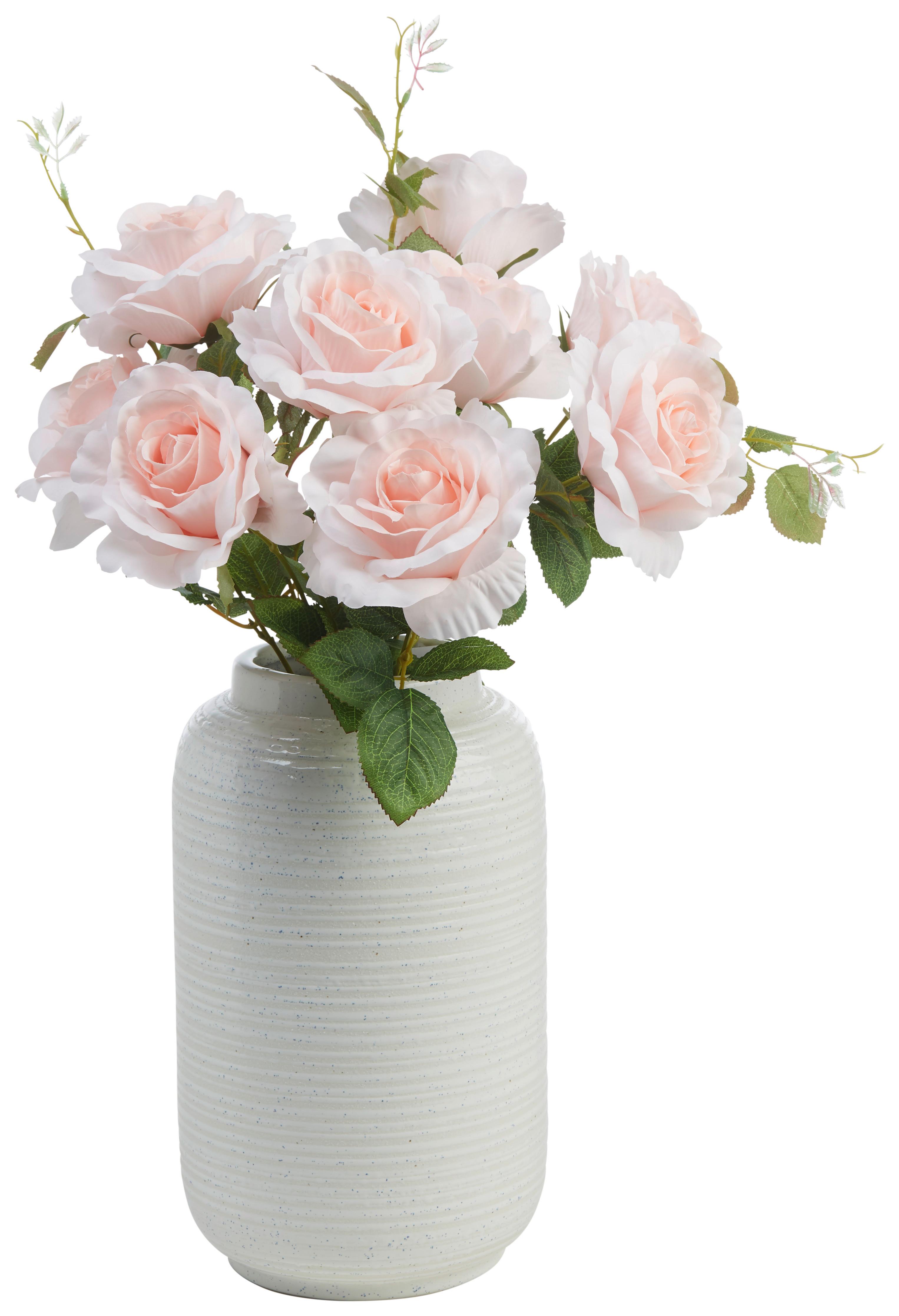 Vaze za rože in dekorativne vaze | mömax.si