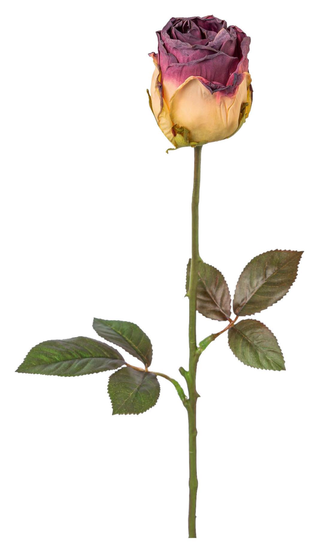 Umjetno cvijeće ♥ mömax - i svijet je odmah ljepši!