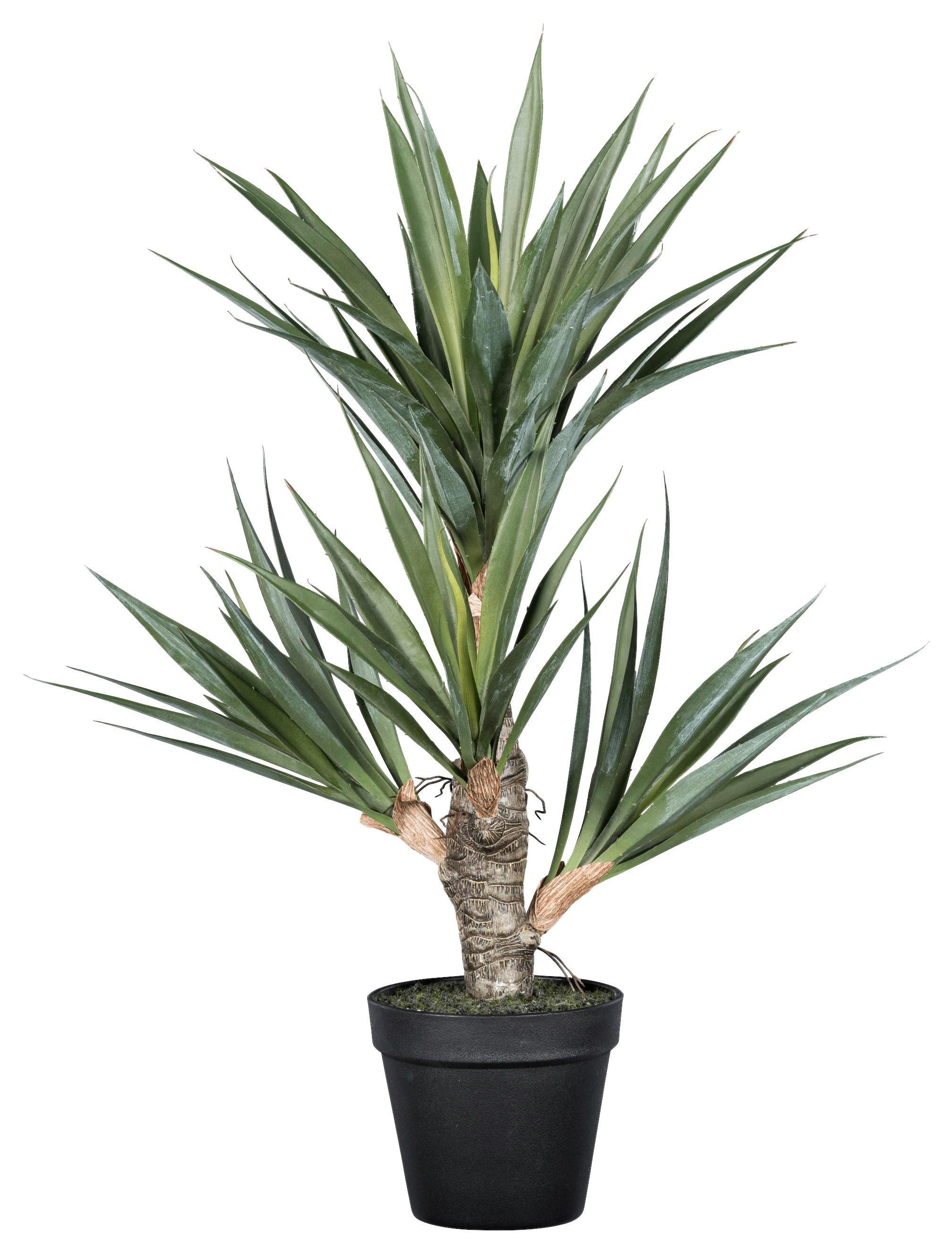 Umetne rože in rastline | mömax.si